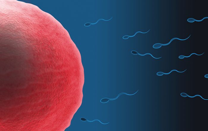 Εξωσωματική Γονιμοποίηση - Crete Fertility Centre